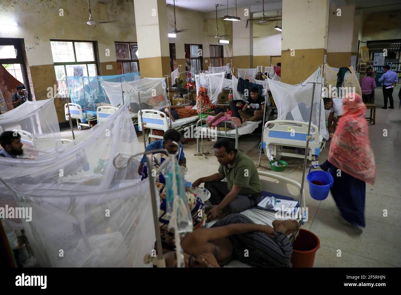 Patients with mosquito-borne viral dengue fever lying inside mosquito ...