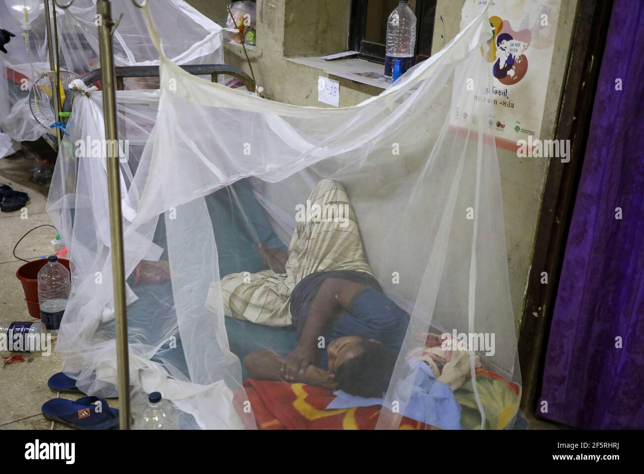 Patients with mosquito-borne viral dengue fever lying inside mosquito ...