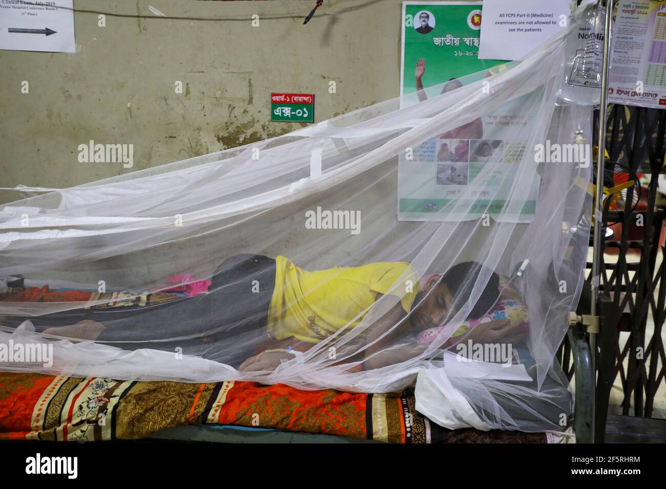 Patients with mosquito-borne viral dengue fever lying inside mosquito ...