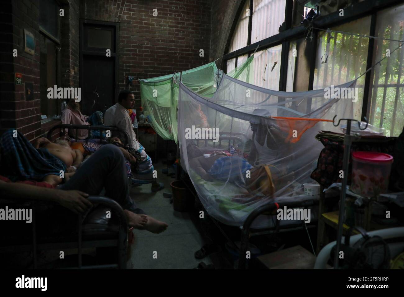 Patients with mosquito-borne viral dengue fever lying inside mosquito ...