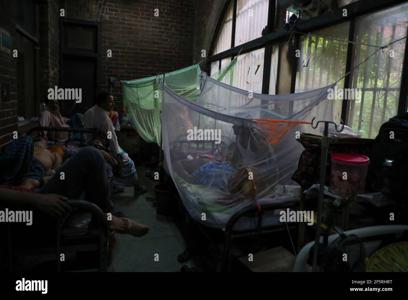 Patients with mosquito-borne viral dengue fever lying inside mosquito ...