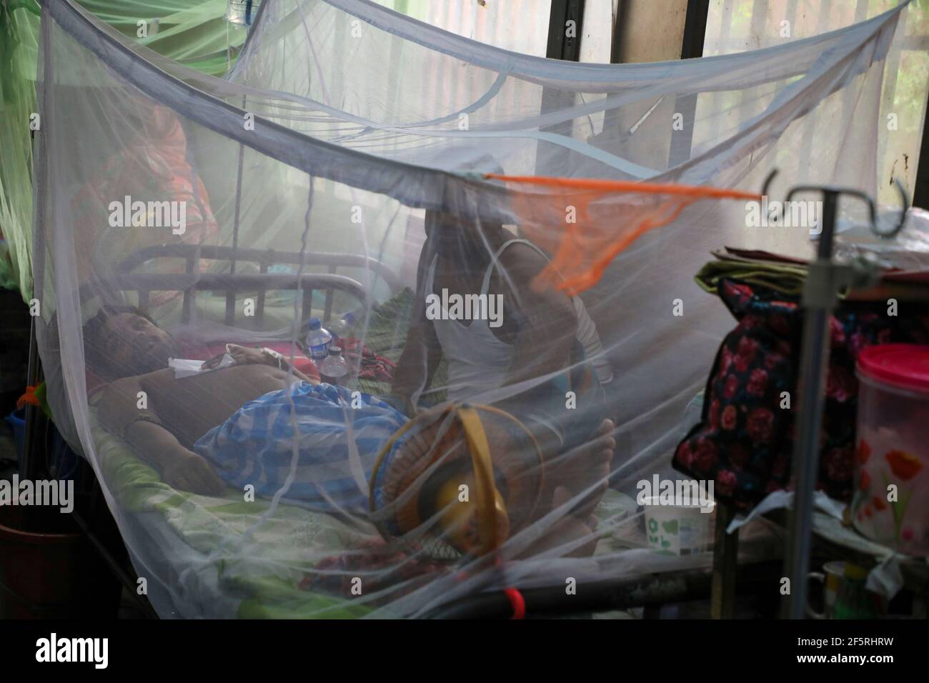 Patients with mosquito-borne viral dengue fever lying inside mosquito ...