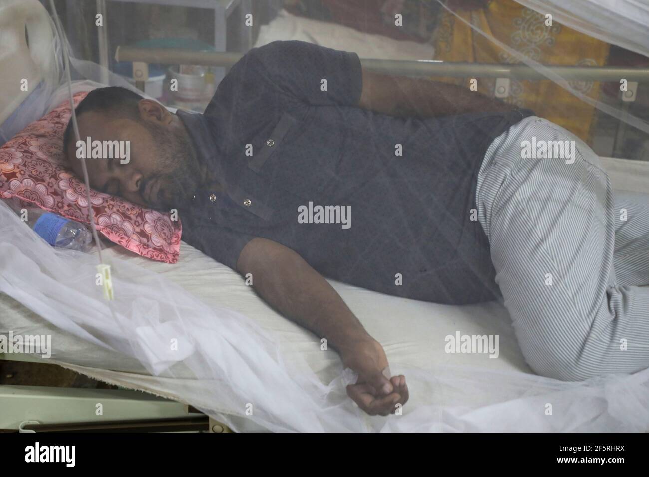 Patients with mosquito-borne viral dengue fever lying inside mosquito ...