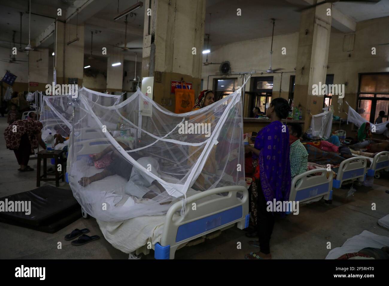 Patients with mosquito-borne viral dengue fever lying inside mosquito ...