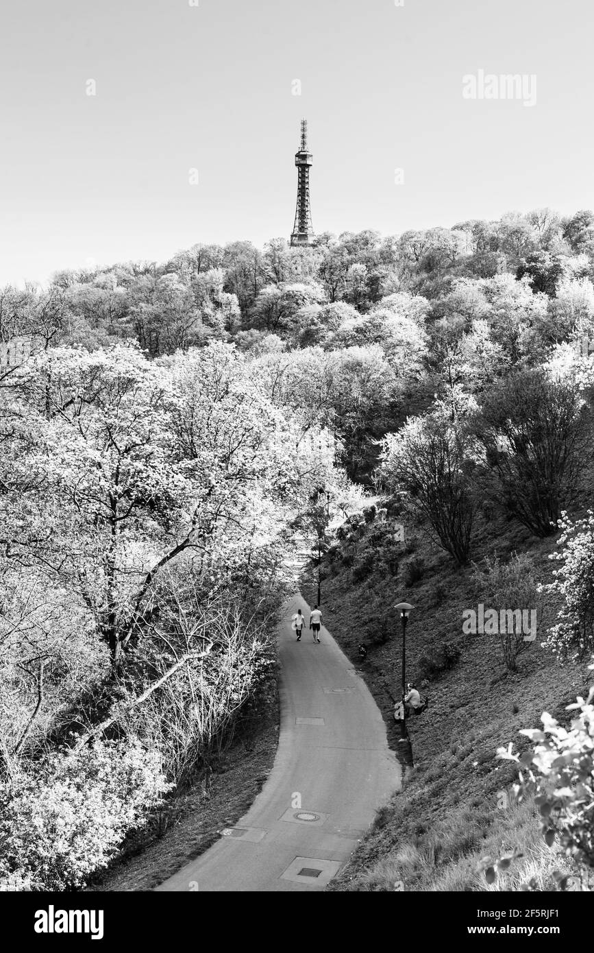 Modern lookout tower Black and White Stock Photos & Images - Alamy
