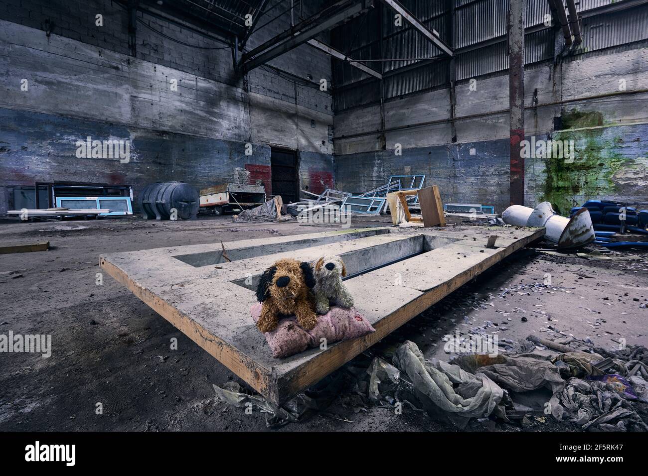 dirty stuffed dogs, placed on a worn cushion in an abandoned and destroyed Warehouse factory ...