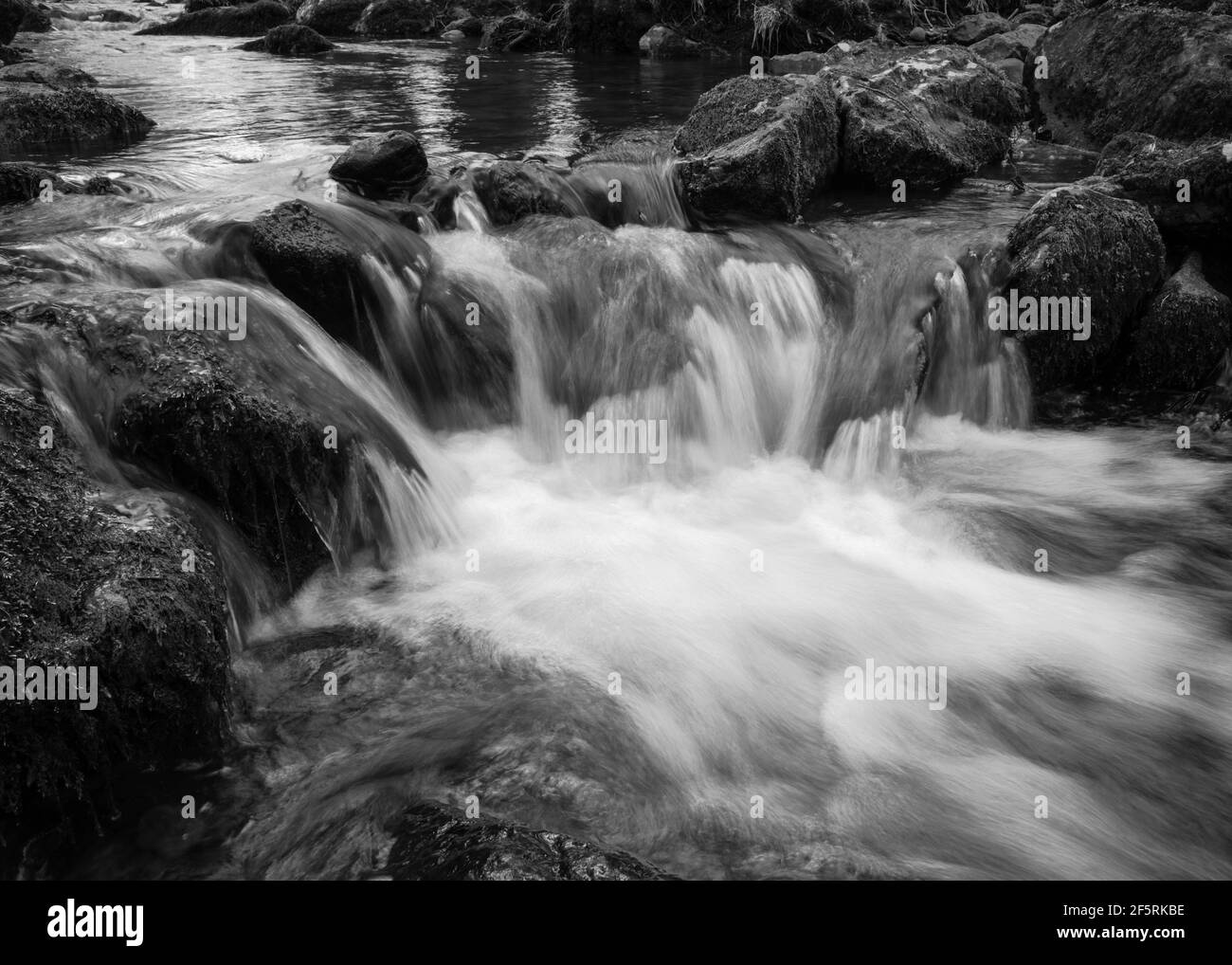 Spring rivulet Black and White Stock Photos & Images - Alamy