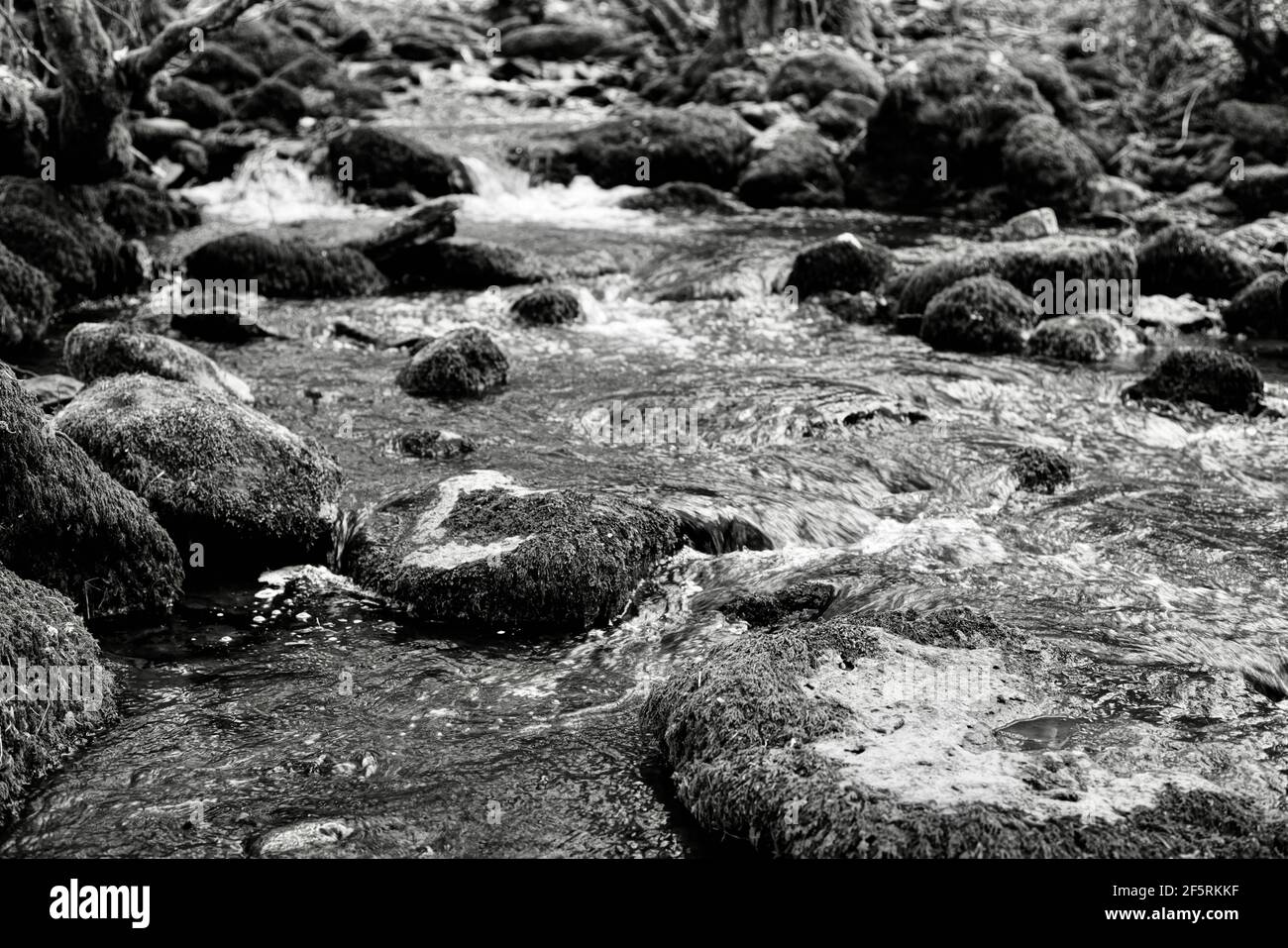Fast and small rivulet inside the mountains is flowing over huge stones ...