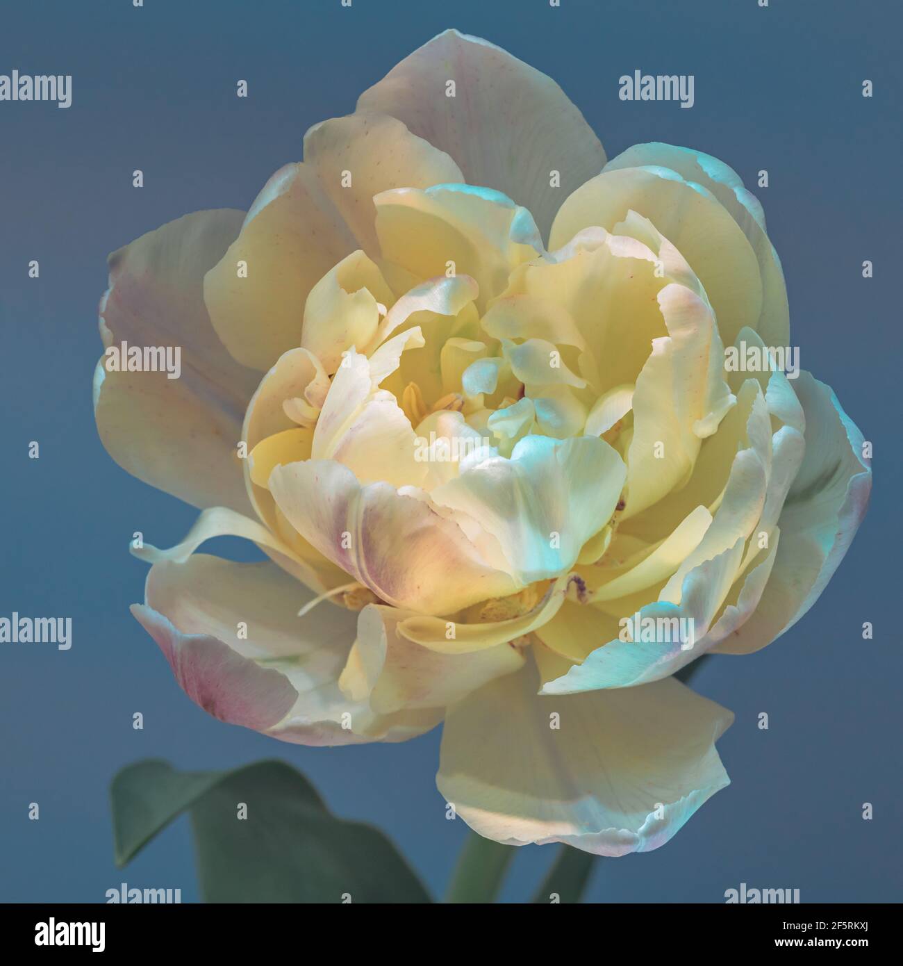 Multi colored light hi-res stock photography and images - Alamy