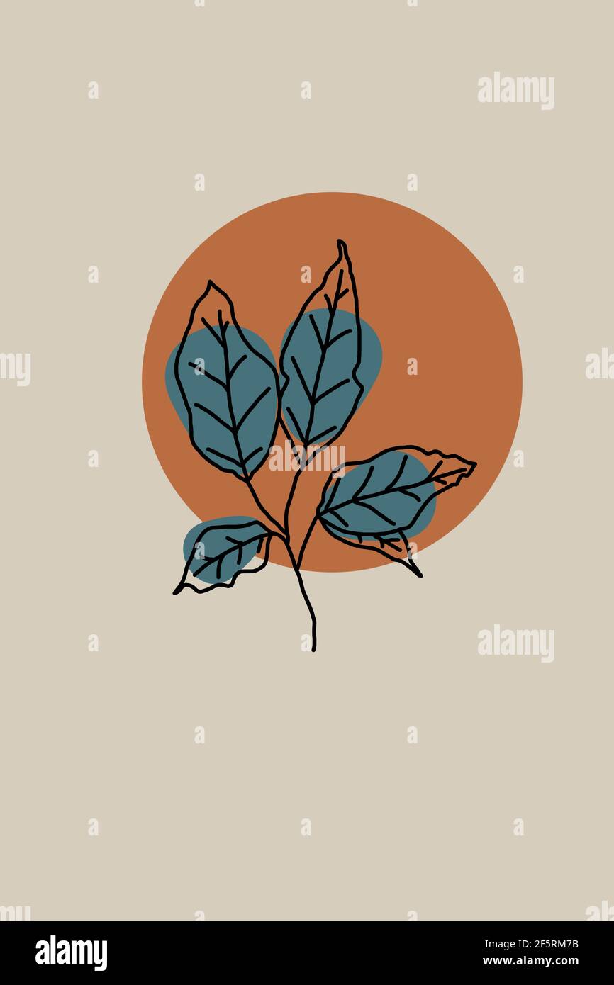 Minimalist Printable Botanical Illustration .Plants Illustration. Home ...
