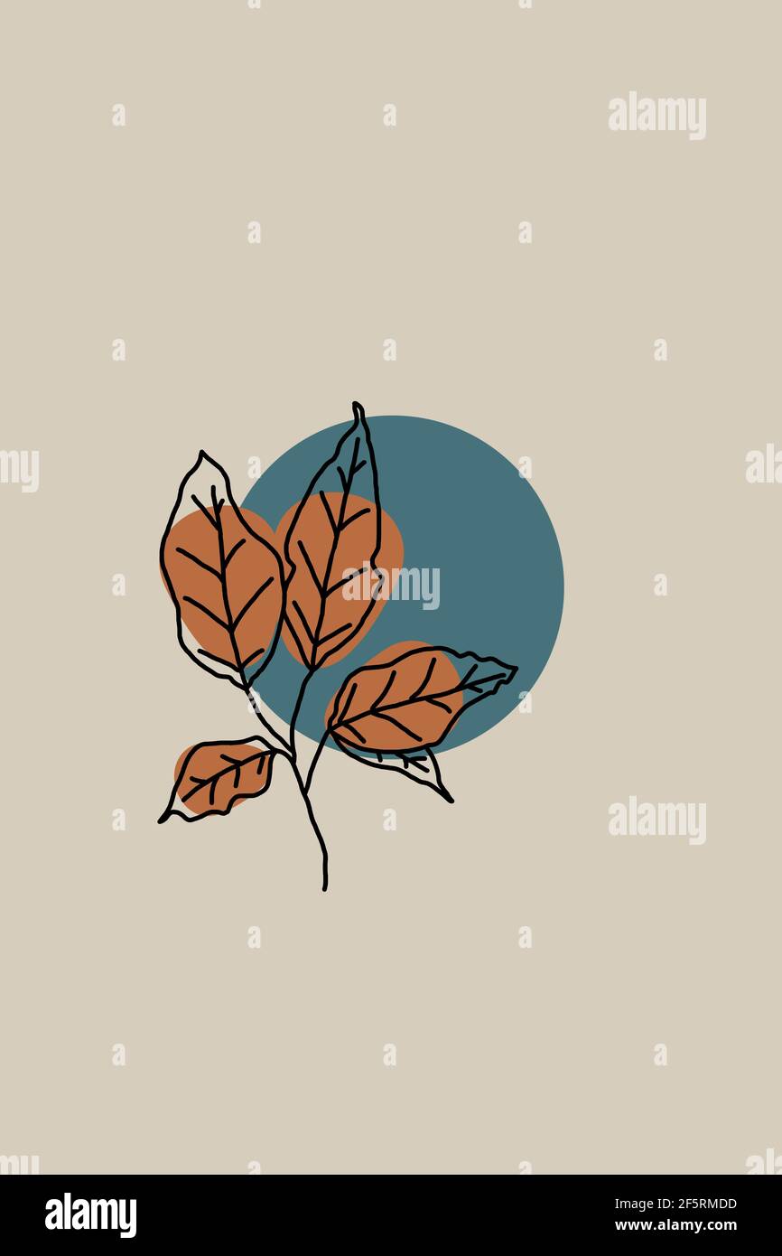 Minimalist Printable Botanical Illustration .Plants Illustration. Home ...