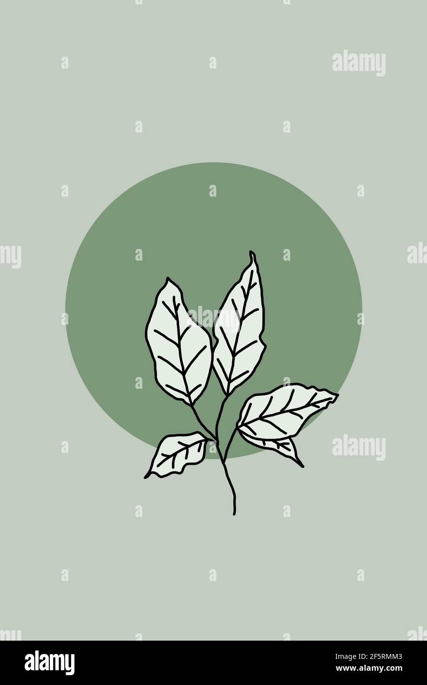 Minimalist Printable Botanical Illustration .Plants Illustration. Home ...