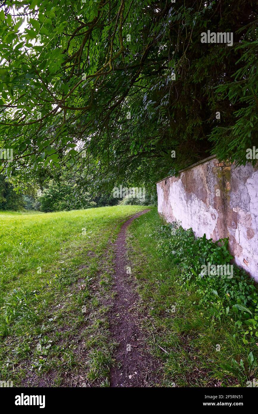 Wide open pathway with trees hi-res stock photography and images - Alamy
