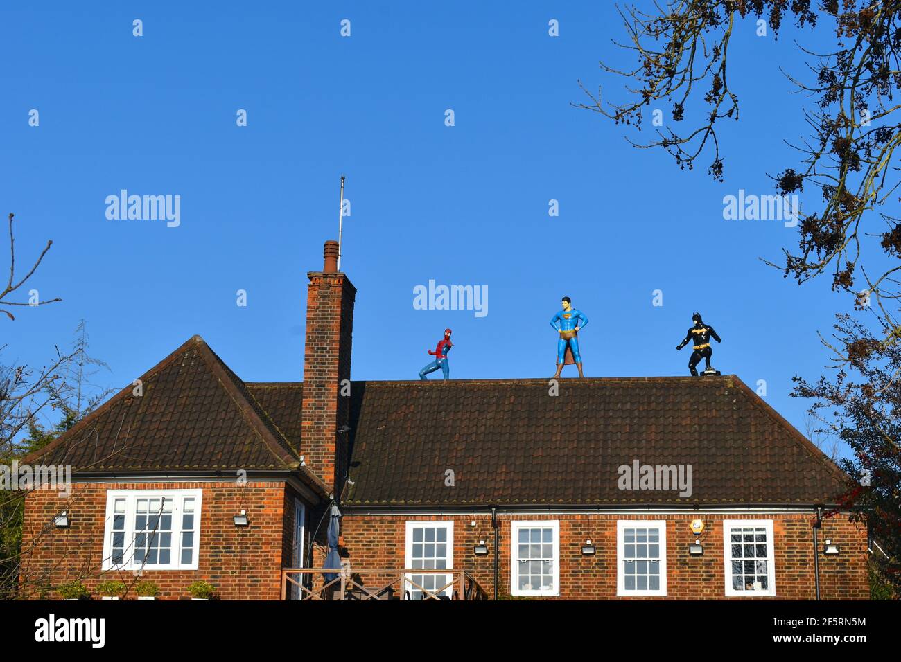 Batman Spider-Man Superman heroes in costumes masks Every child has ...