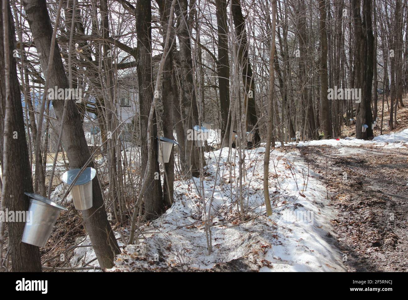 Sewer photos hi-res stock photography and images - Alamy