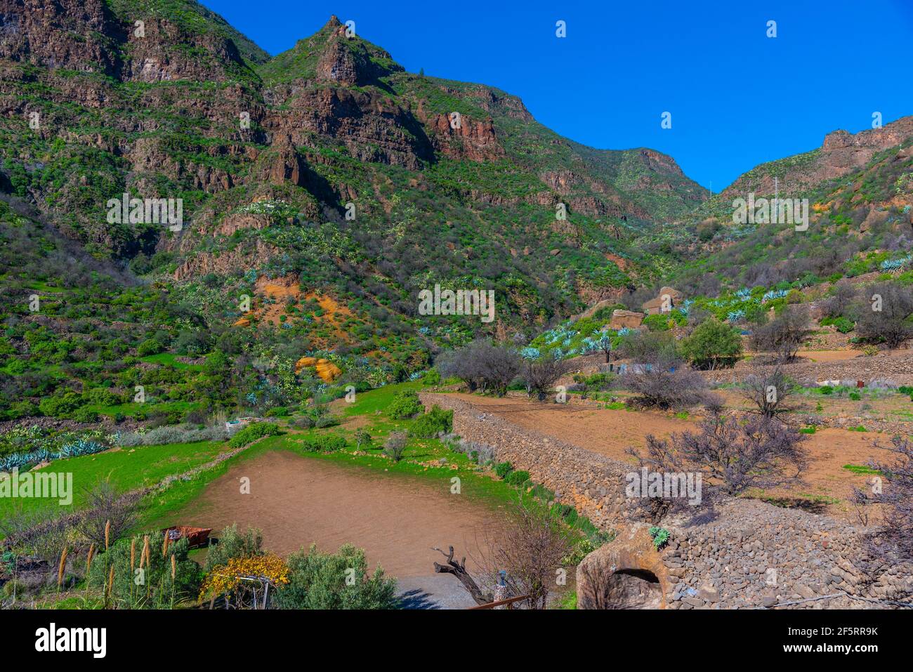 Barranco de guayadeque hi-res stock photography and images - Alamy