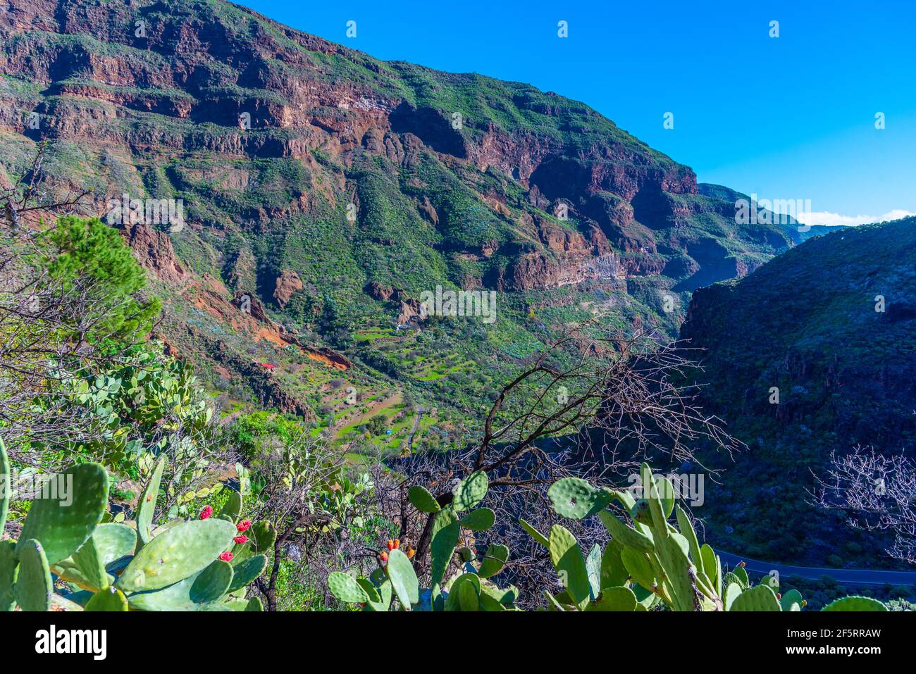 Barranco de guayadeque ravine gran hi-res stock photography and images ...