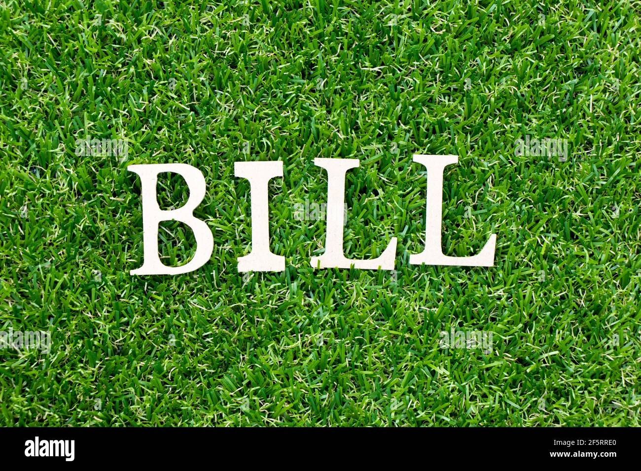 Wood letter in word bill on green grass background Stock Photo - Alamy