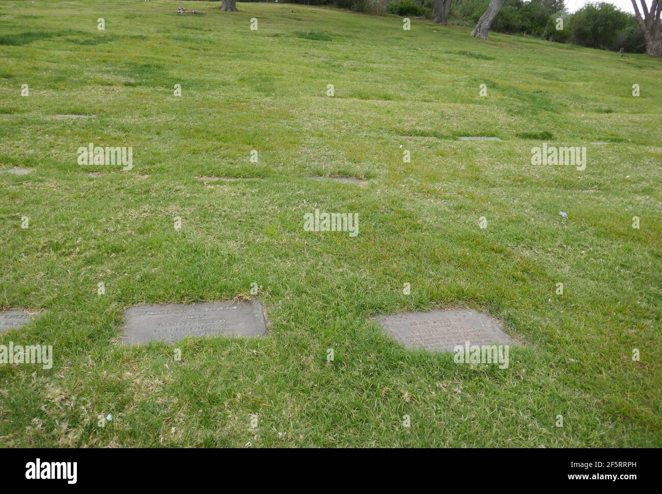Los Angeles, California, USA 25th March 2021 A general view of ...