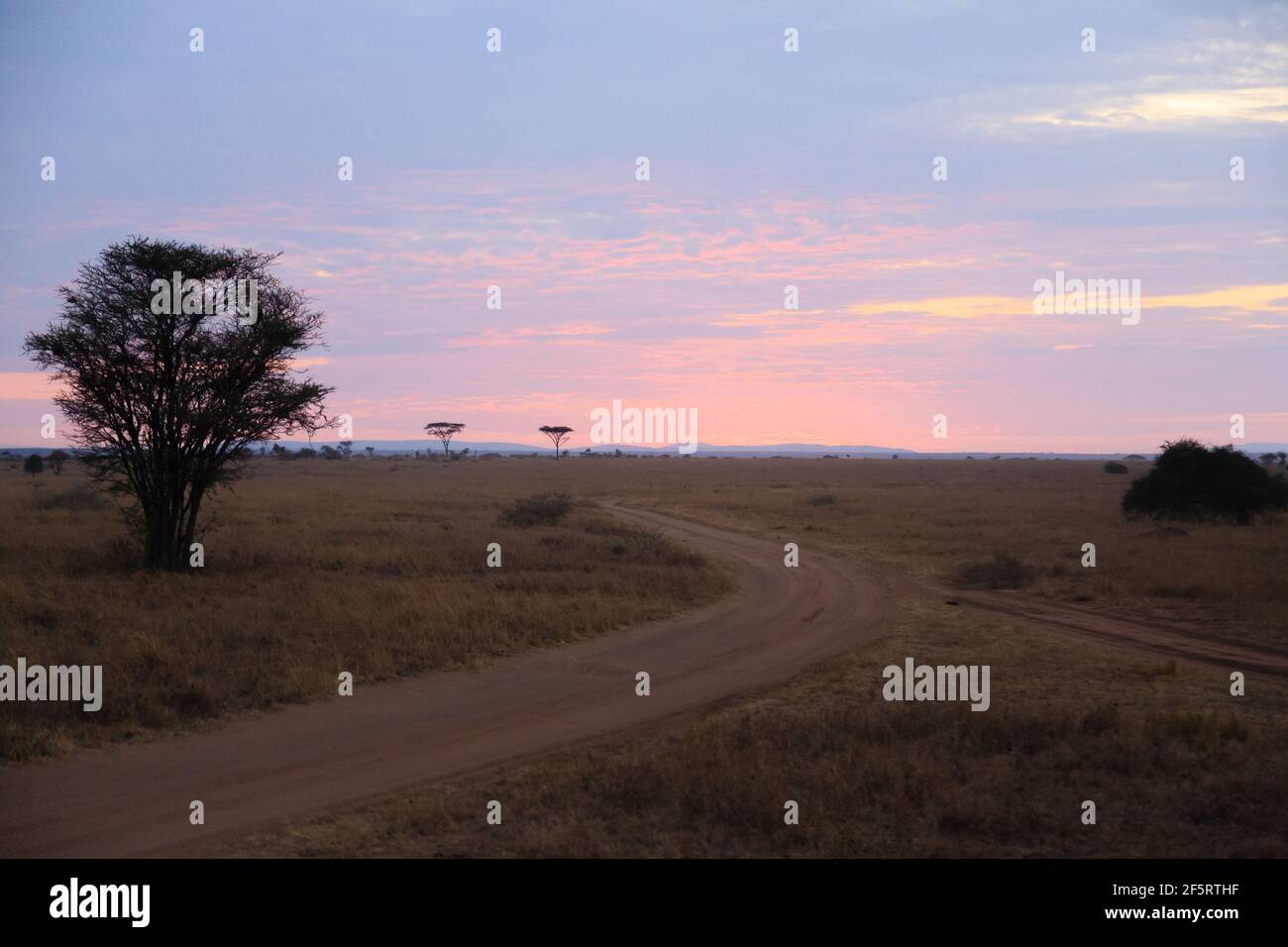 Dawn at Serengeti National Park, Tanzania, Africa. African panorama ...