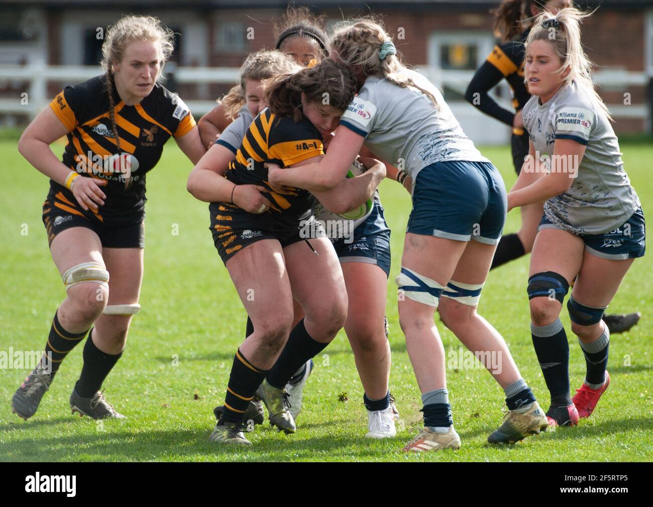 Maud muir hi-res stock photography and images - Alamy