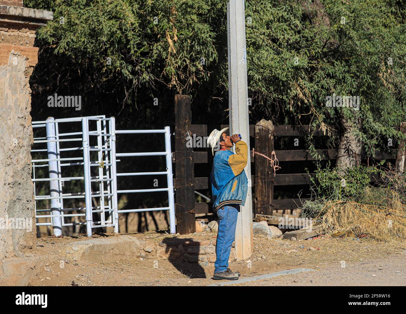 Tecate man hi-res stock photography and images - Alamy