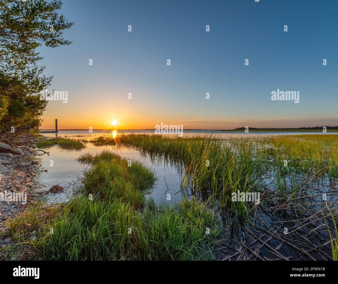 Broad river south carolina hi-res stock photography and images - Alamy