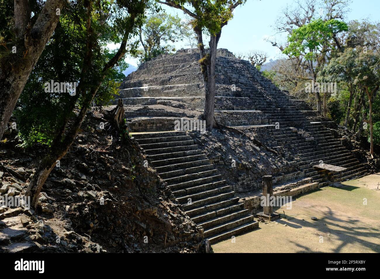 Copan ruinas hi-res stock photography and images - Alamy