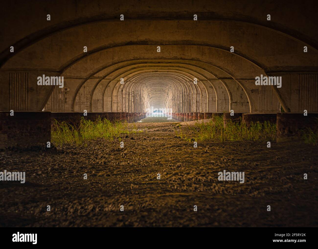 Under broad river bridge Stock Photo - Alamy