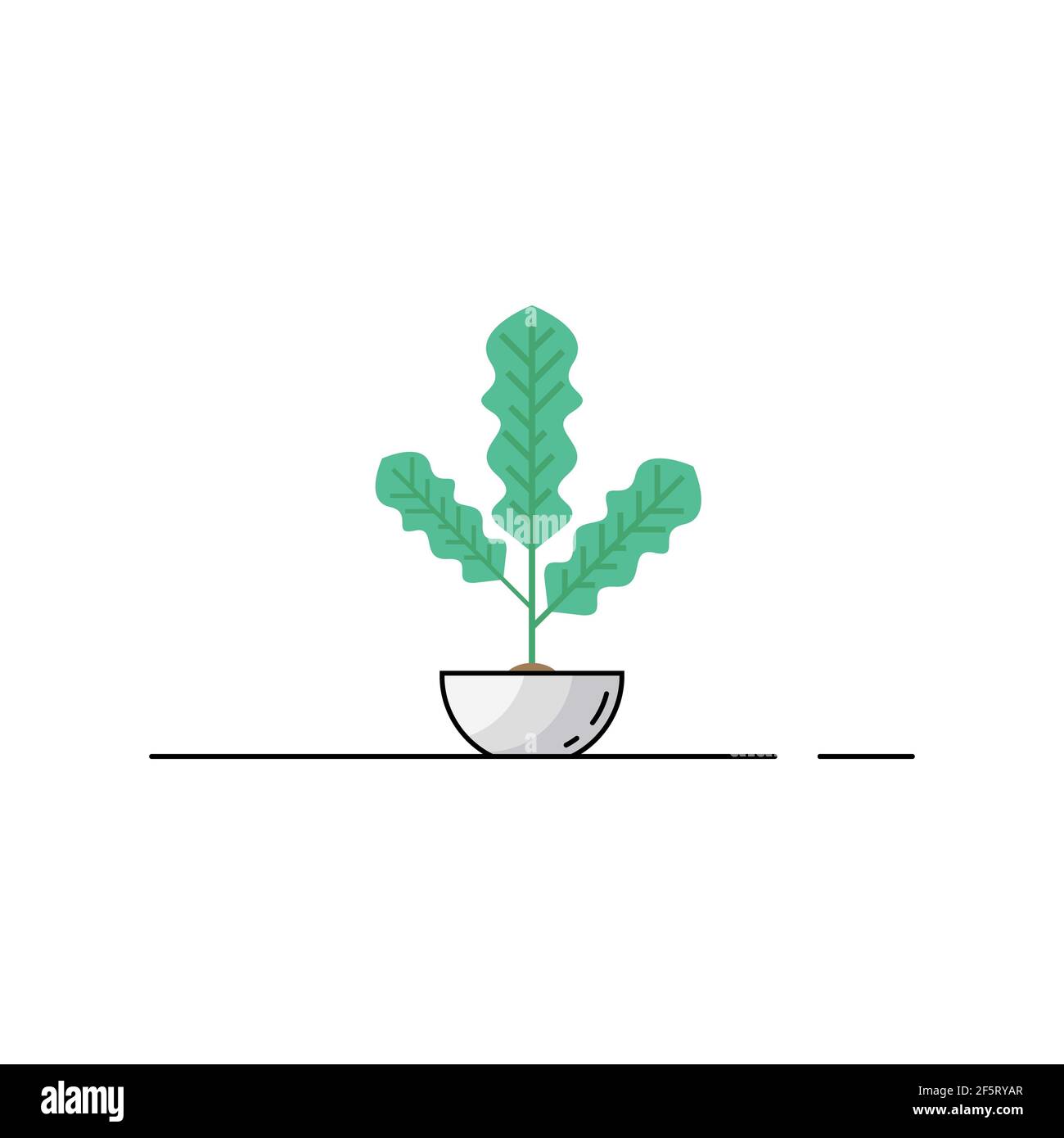 Vector house plant Cut Out Stock Images & Pictures - Alamy