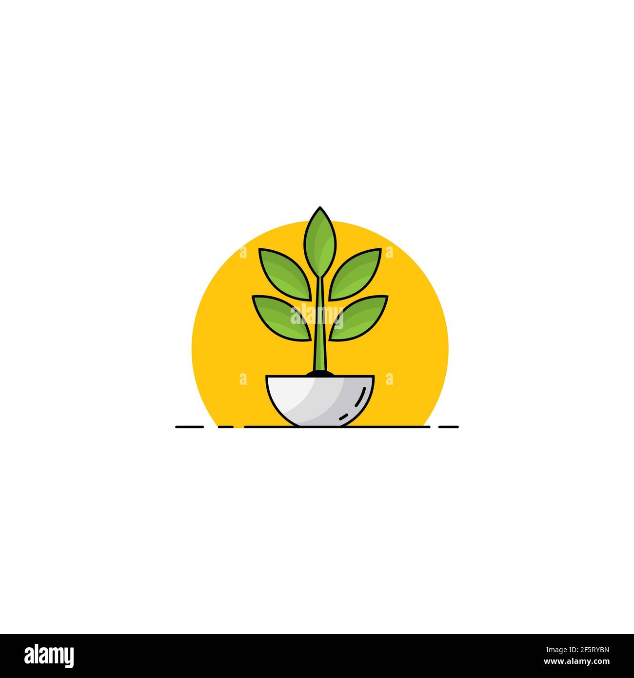Vector house plant Cut Out Stock Images & Pictures - Alamy