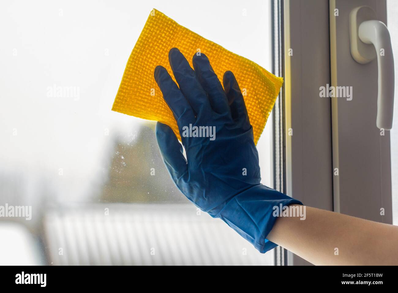 Seasonal cleaning of the house.Washing windows.Gloved hands wash the ...