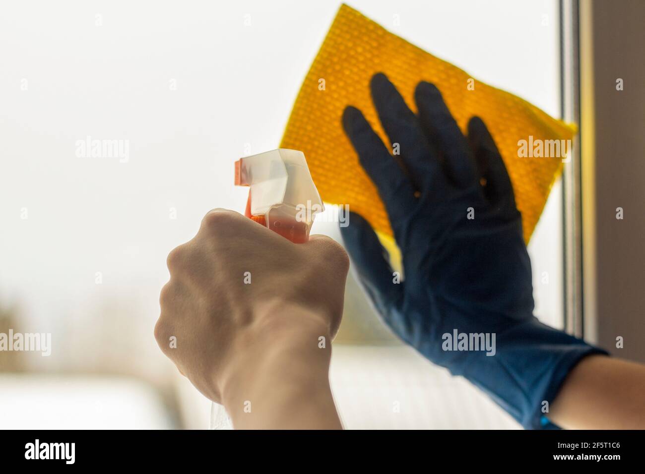 Seasonal cleaning of the house.Washing windows.Gloved hands wash the ...