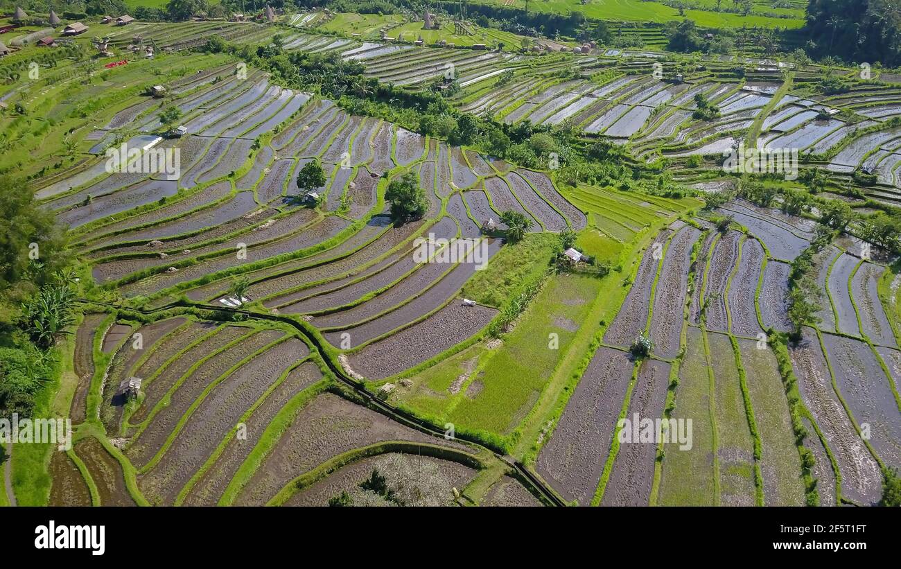 Terraced Paddy Field High Resolution Stock Photography and Images - Alamy