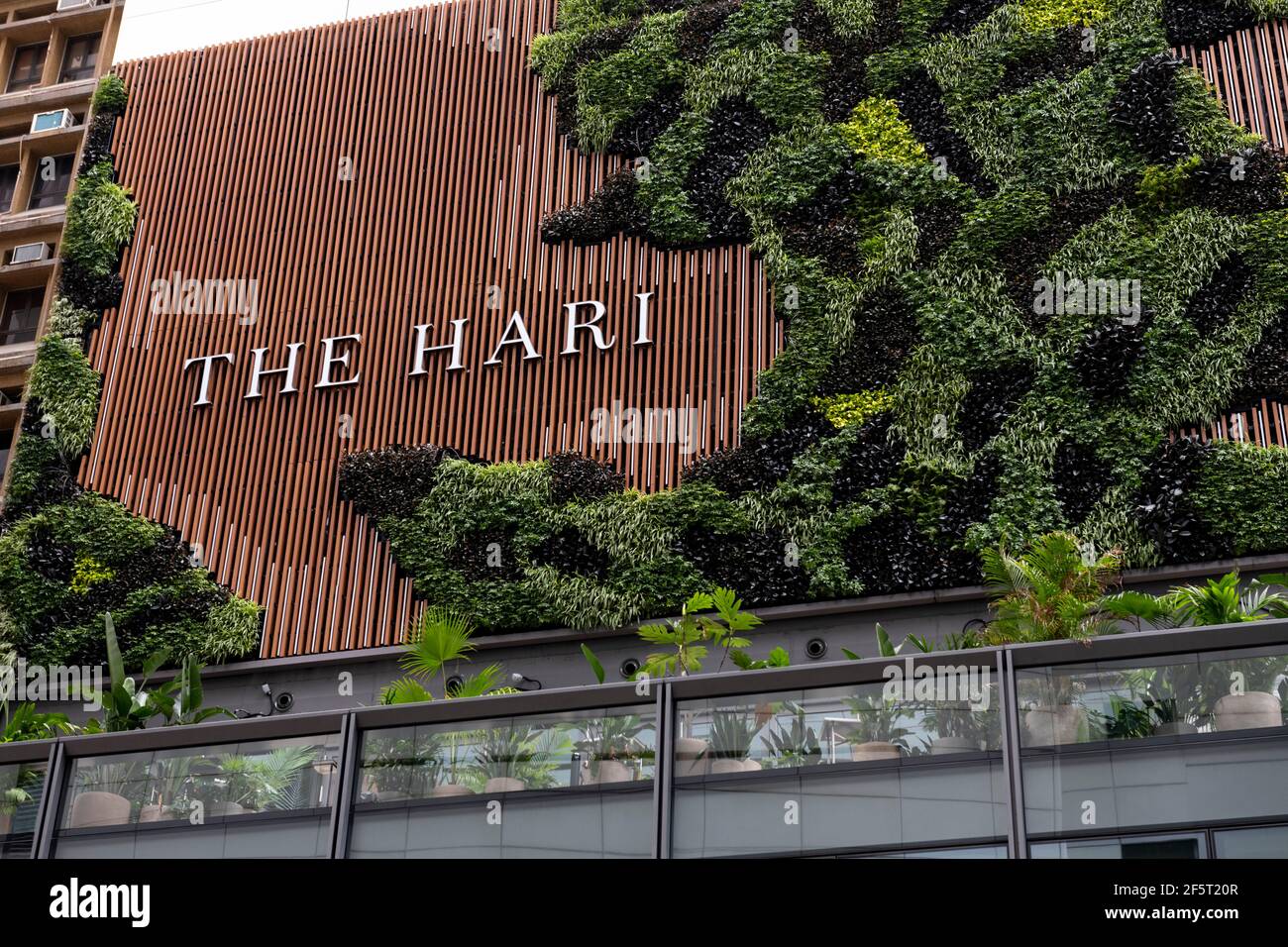 Harilela group hi-res stock photography and images - Alamy