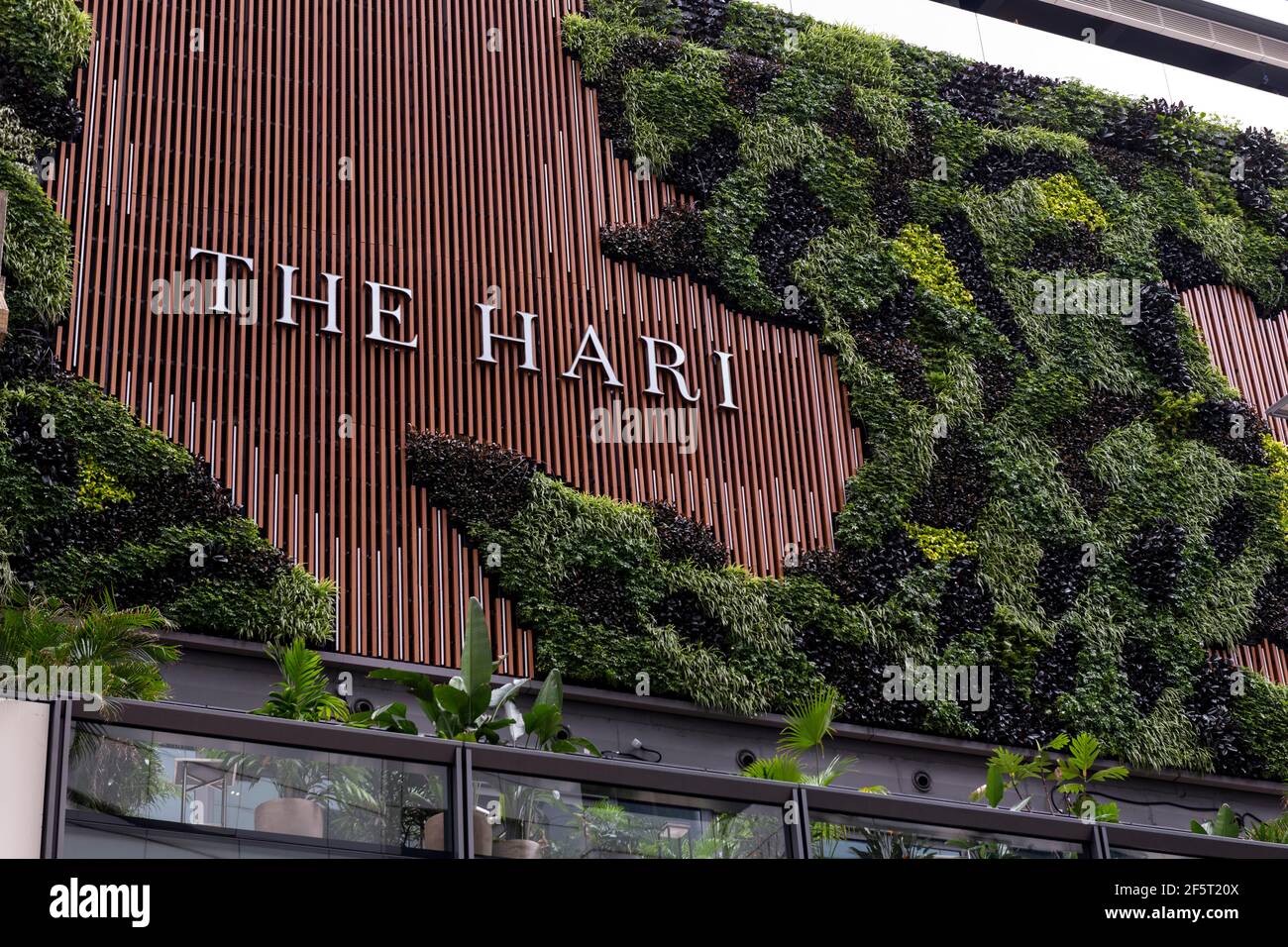 Harilela group hi-res stock photography and images - Alamy