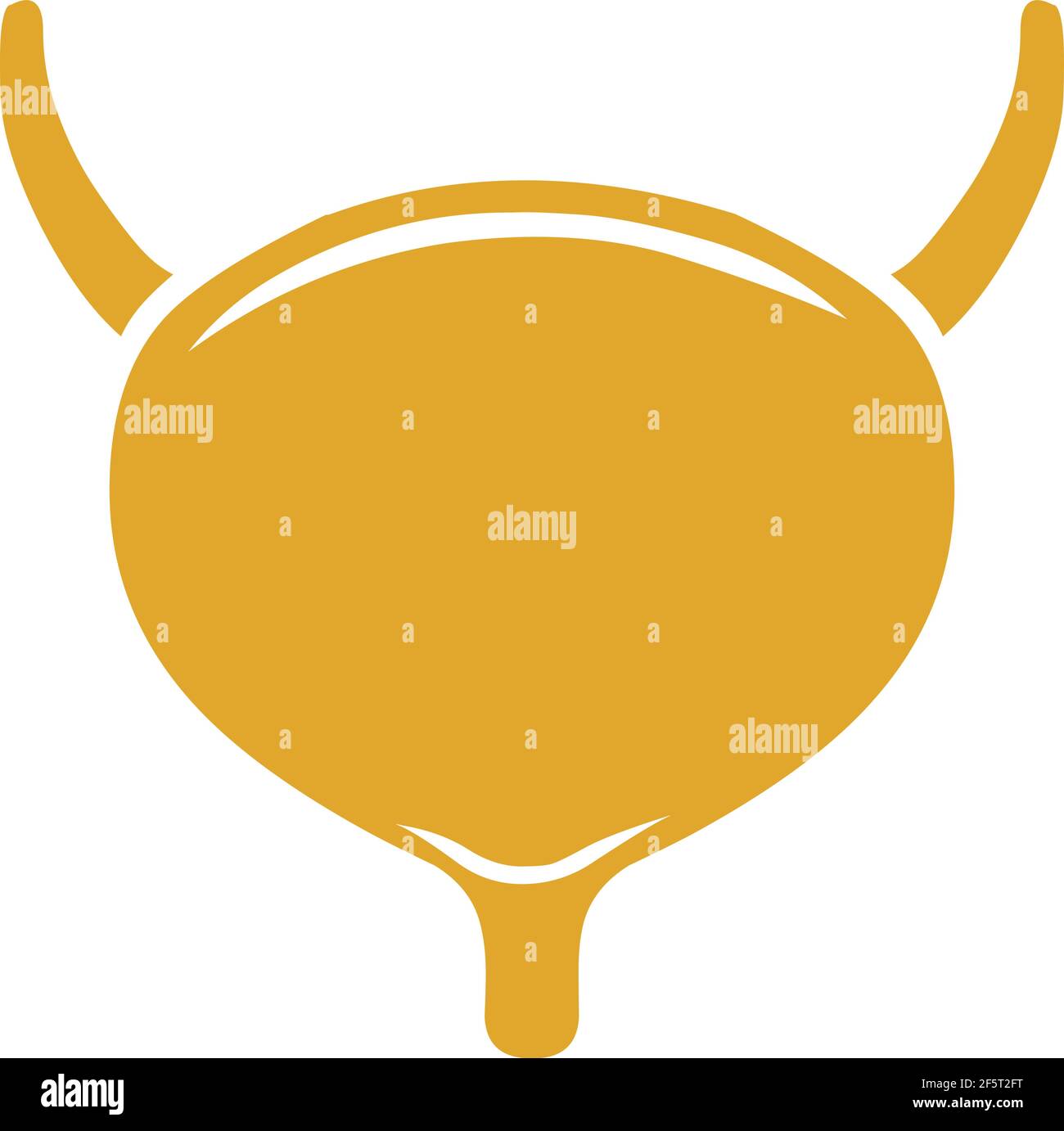 Bladder illustration logo icon isolated on white background Stock ...