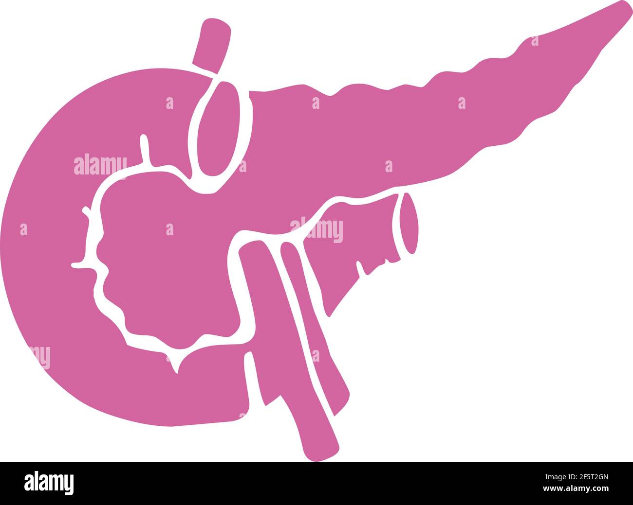 Pancreas illustration logo icon vector isolated on white background ...