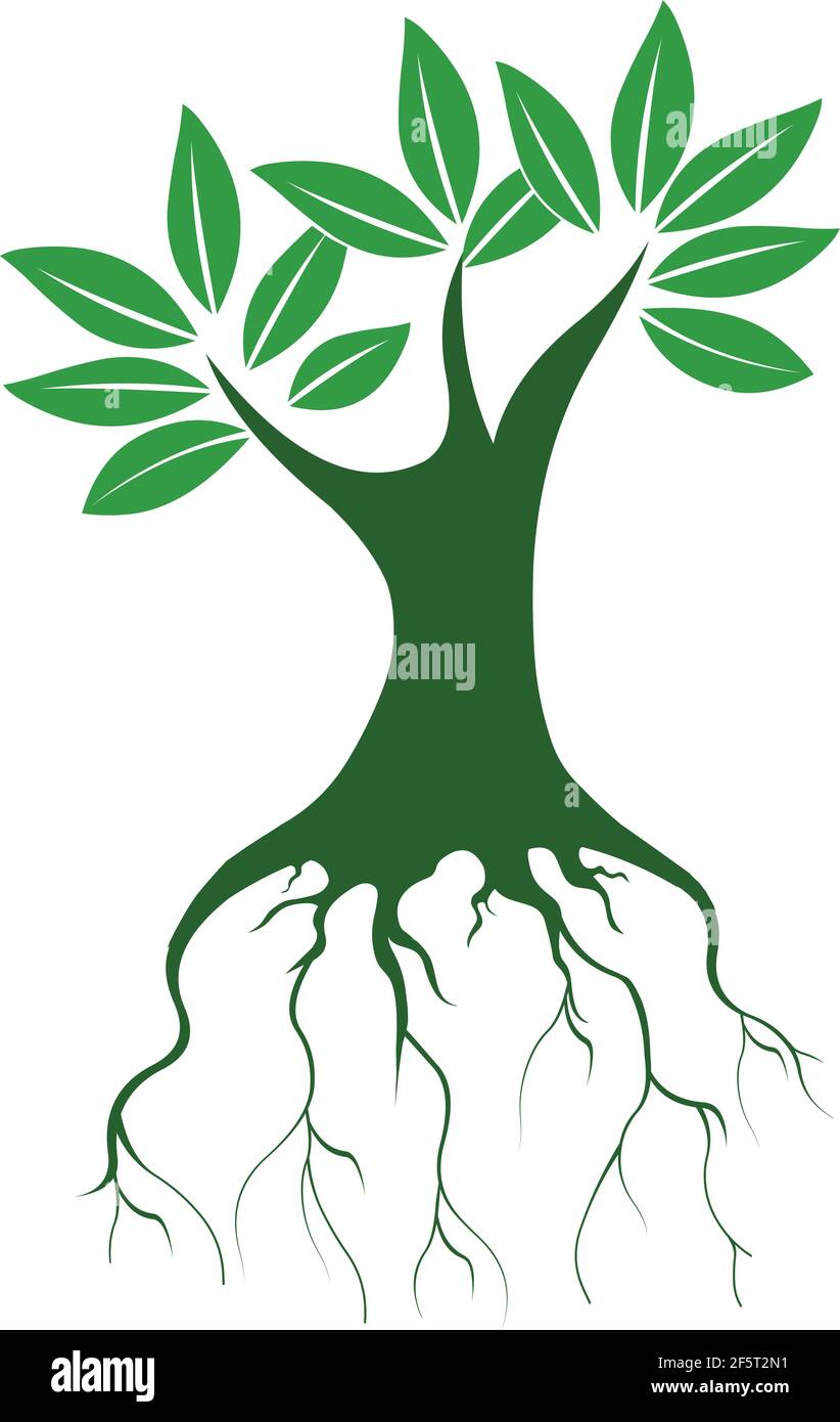 Free Tree With Roots Clipart