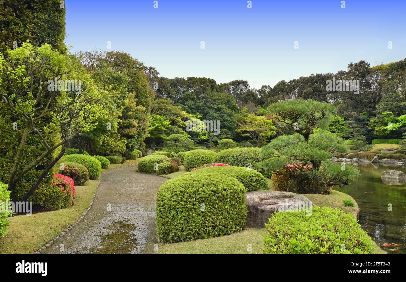 Beautiful japanese green park hi-res stock photography and images - Alamy