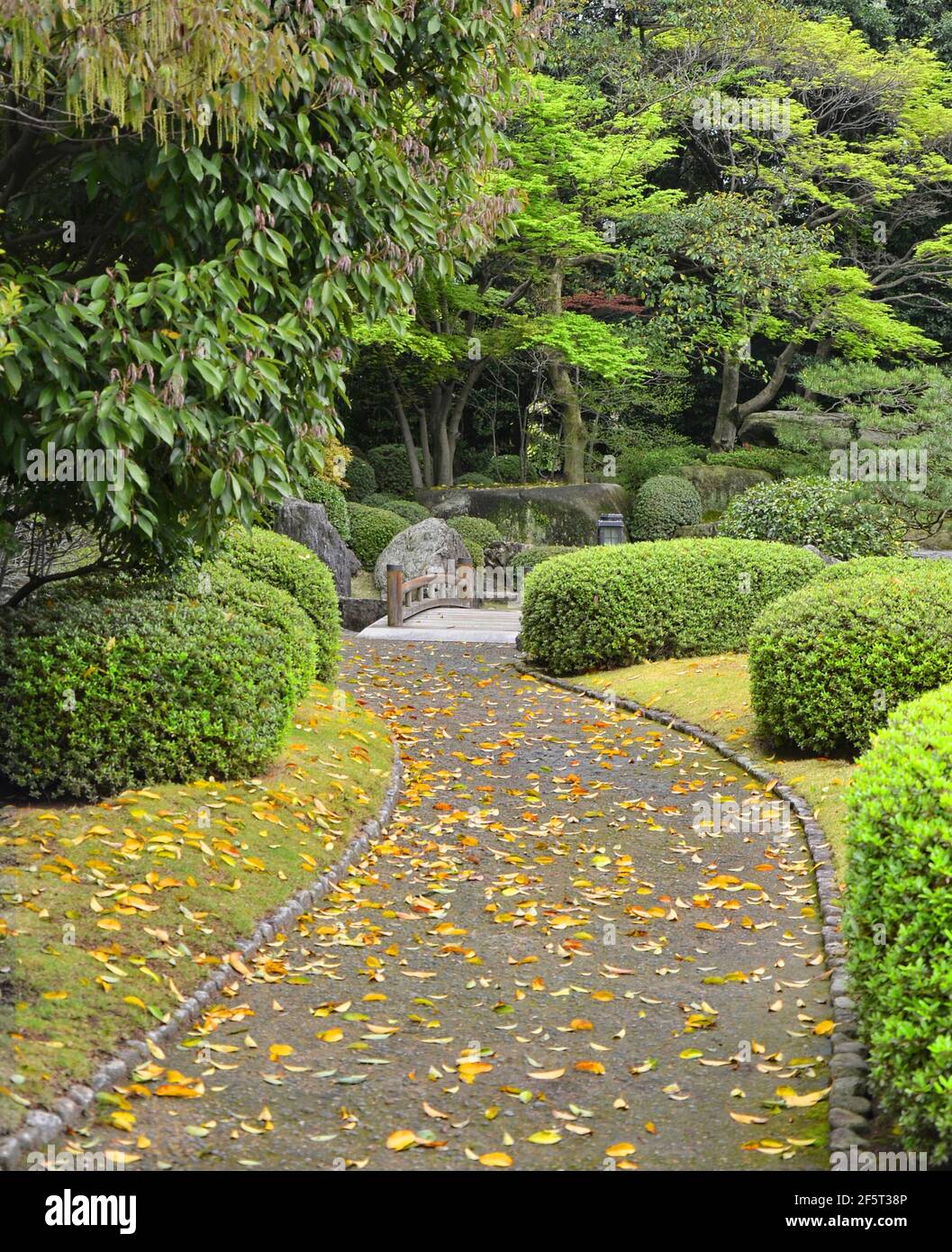 Ohori Park Japanese Garden in Fukuoka city, Japan Stock Photo - Alamy