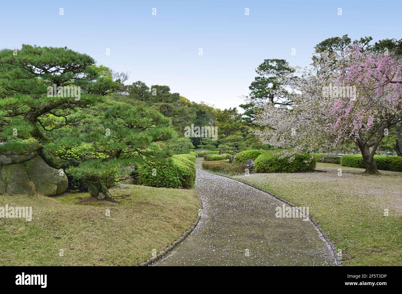 Ohori Park Japanese Garden in Fukuoka city, Japan Stock Photo - Alamy