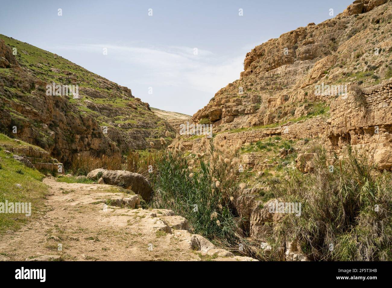 Wadi faran hi-res stock photography and images - Alamy