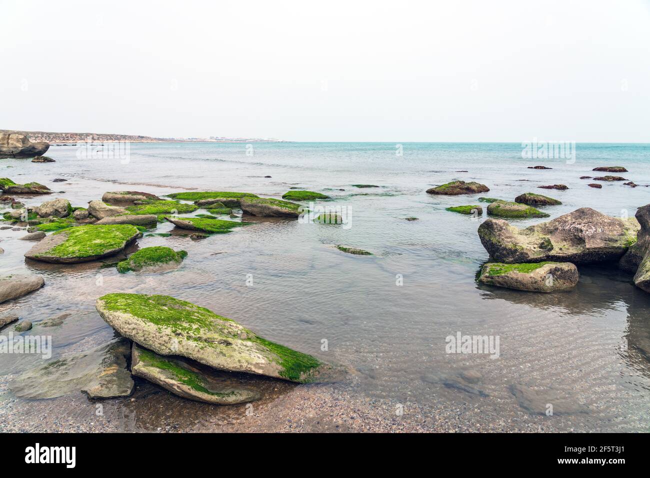 Rocky sea beach with boulders Stock Photo - Alamy