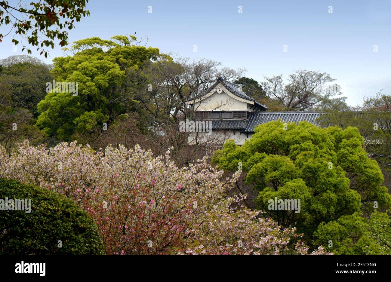 The ruins of Fukuoka Castle are located in Maizuru Park, named after ...