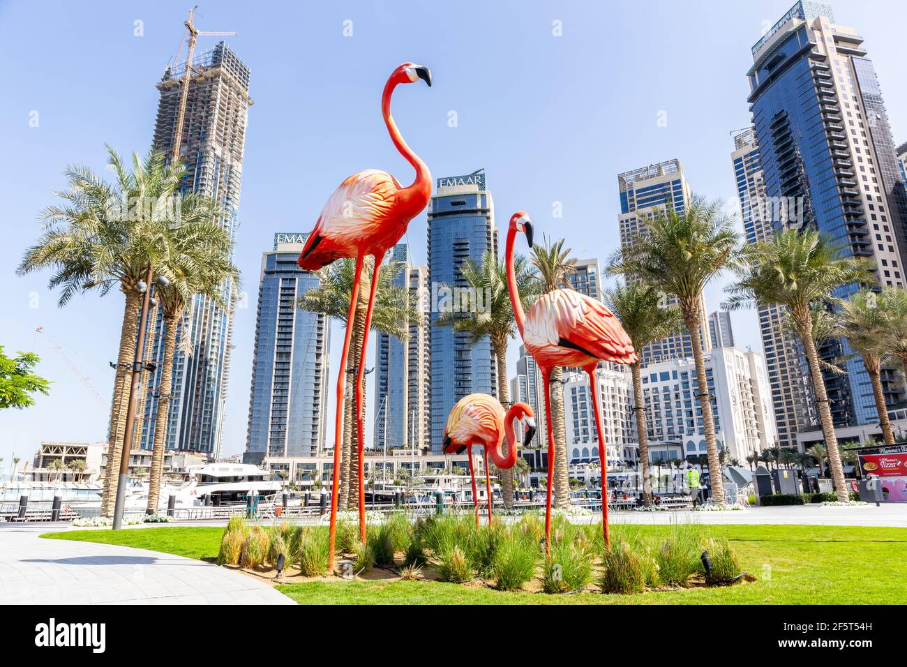 Dubai creek flamingo hi-res stock photography and images - Alamy