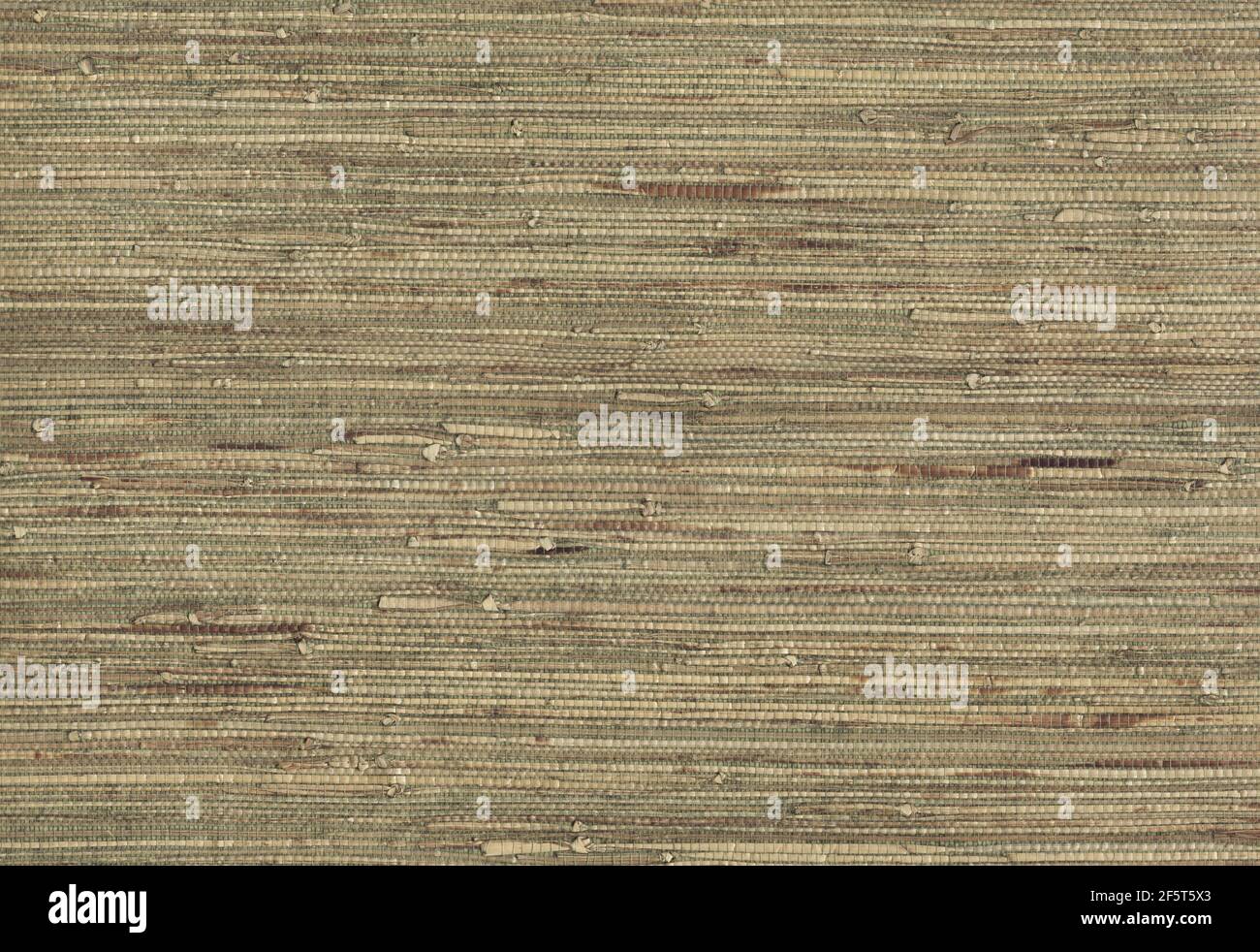 Grasscloth wallpaper hi-res stock photography and images - Alamy