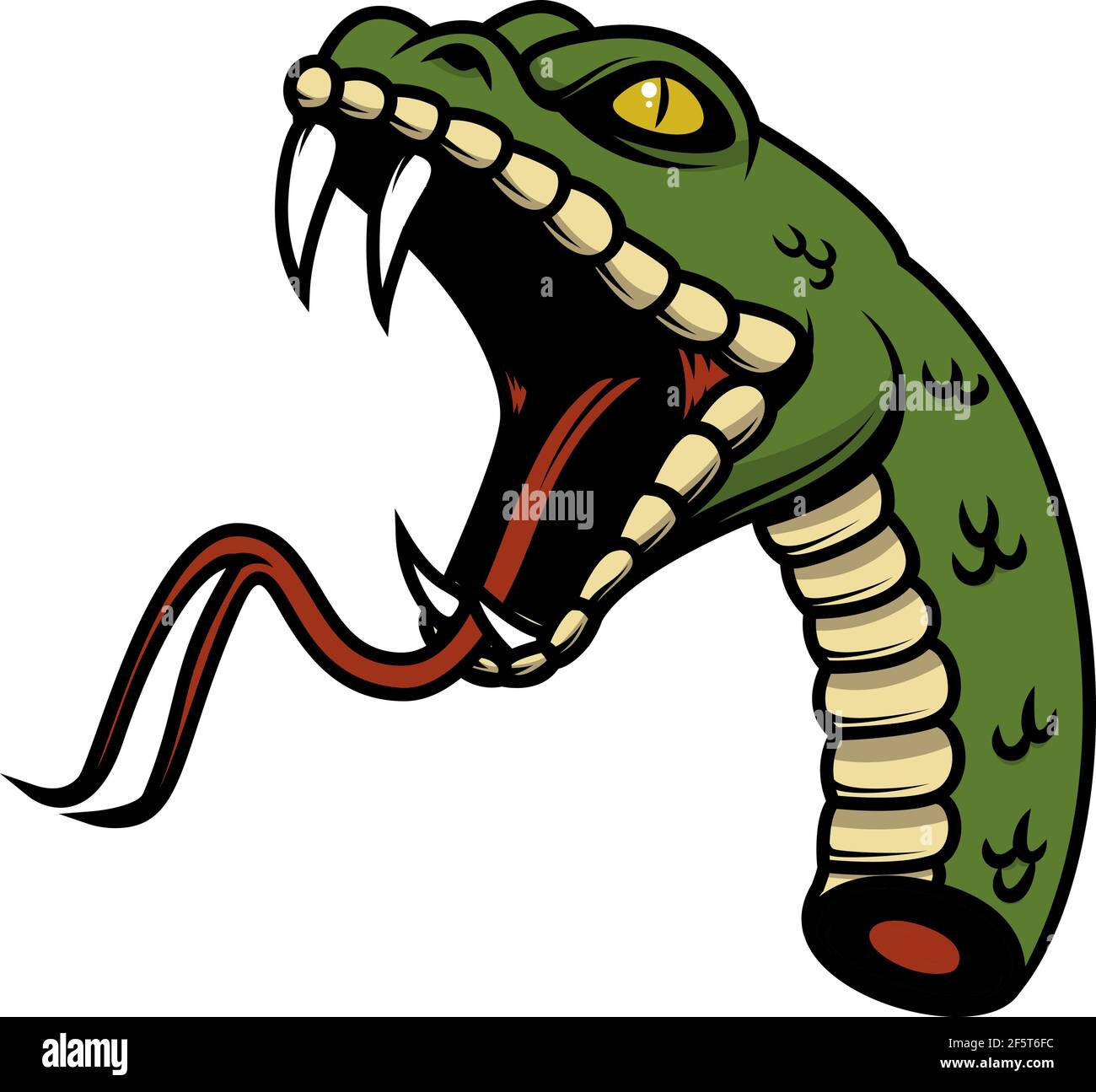 Head of a snake hi-res stock photography and images - Alamy