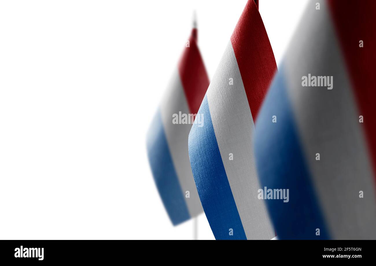 Small national flags of the Netherlands on a white background Stock ...