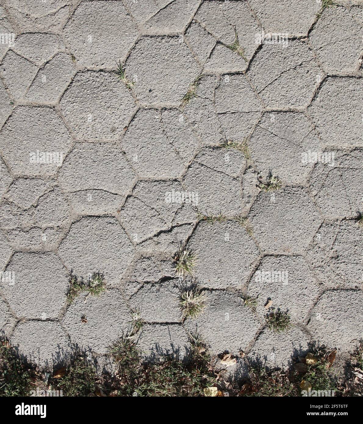 Hexagonal concrete floor pattern hi-res stock photography and images ...